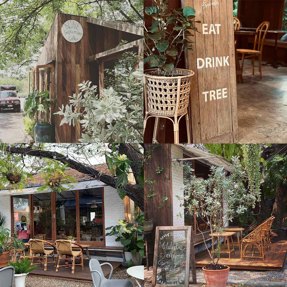 8 คาเฟ่สระบุรี นั่งชิลล์ในสวน ดื่มด่ำธรรมชาติ บรรยากาศร่มรื่น
