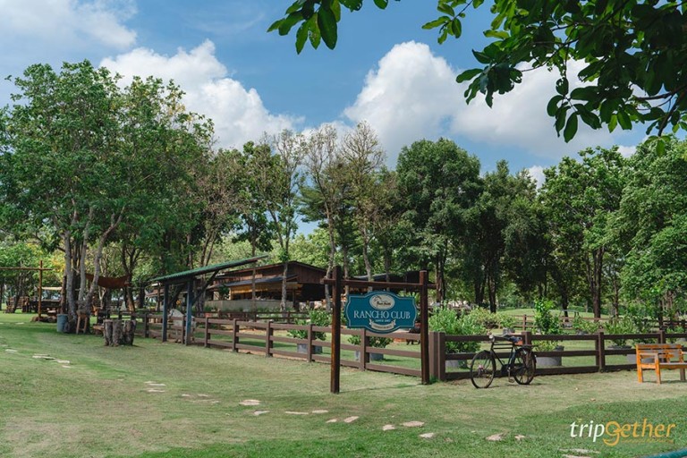 Trot Cafe Khaoyai คาเฟ่เขาใหญ่ สไตล์คันทรี บรรยากาศดีกลางทุ่งหญ้า