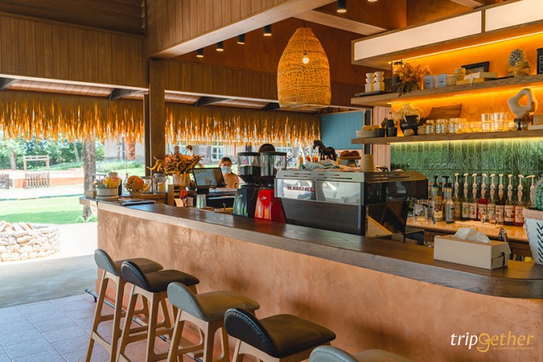 Trot Cafe Khaoyai คาเฟ่เขาใหญ่ สไตล์คันทรี บรรยากาศดีกลางทุ่งหญ้า