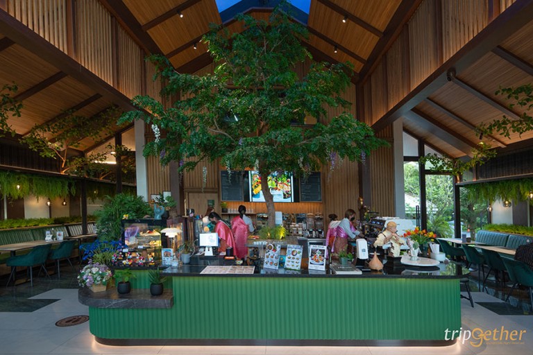 8 คาเฟ่มีนบุรี-หนองจอก เช็คอินย่านชานเมือง สัมผัสบรรยากาศสุดชิลล์