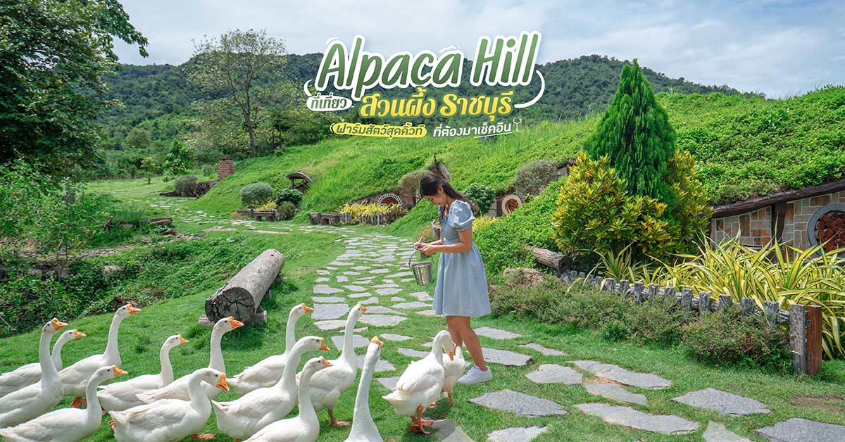 Alpaca Hill ที่เที่ยวสวนผึ้ง ราชบุรี ฟาร์มสัตว์สุดคิ้วท์ที่ต้องมาเช็คอิน