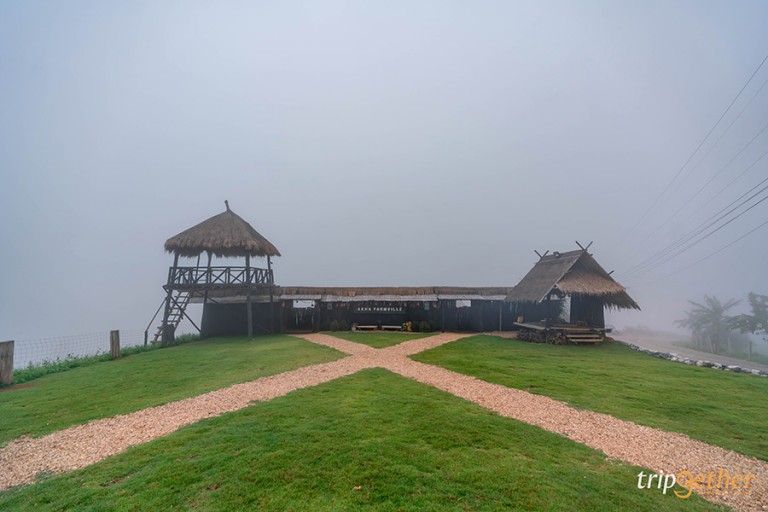 Akha Farmville ฟาร์มแกะดอยช้าง เชียงราย ถ่ายรูปสวย ฟีลต่างประเทศ