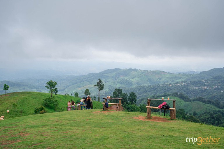 Akha Farmville ฟาร์มแกะดอยช้าง เชียงราย ถ่ายรูปสวย ฟีลต่างประเทศ