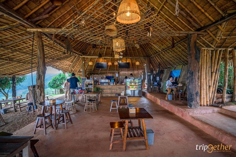 Akha Farmville ฟาร์มแกะดอยช้าง เชียงราย ถ่ายรูปสวย ฟีลต่างประเทศ