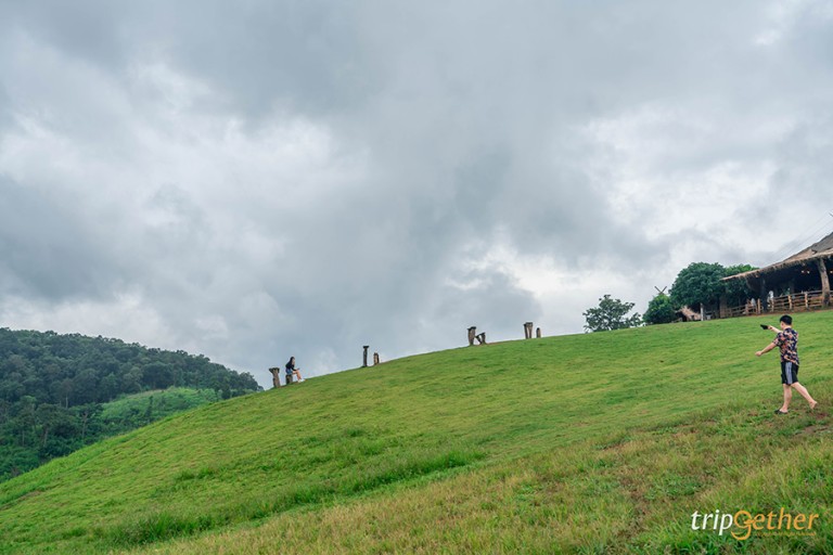 Akha Farmville ฟาร์มแกะดอยช้าง เชียงราย ถ่ายรูปสวย ฟีลต่างประเทศ