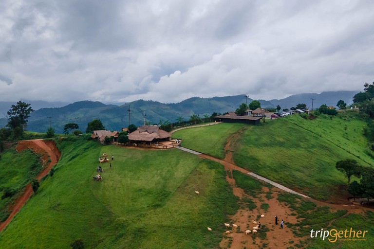 Akha Farmville ฟาร์มแกะดอยช้าง เชียงราย ถ่ายรูปสวย ฟีลต่างประเทศ