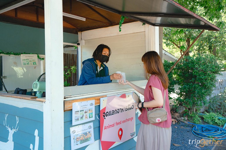 Bonanza Exotic Zoo เขาใหญ่ เปิดโลกความน่ารักของสัตว์ตัวน้อย