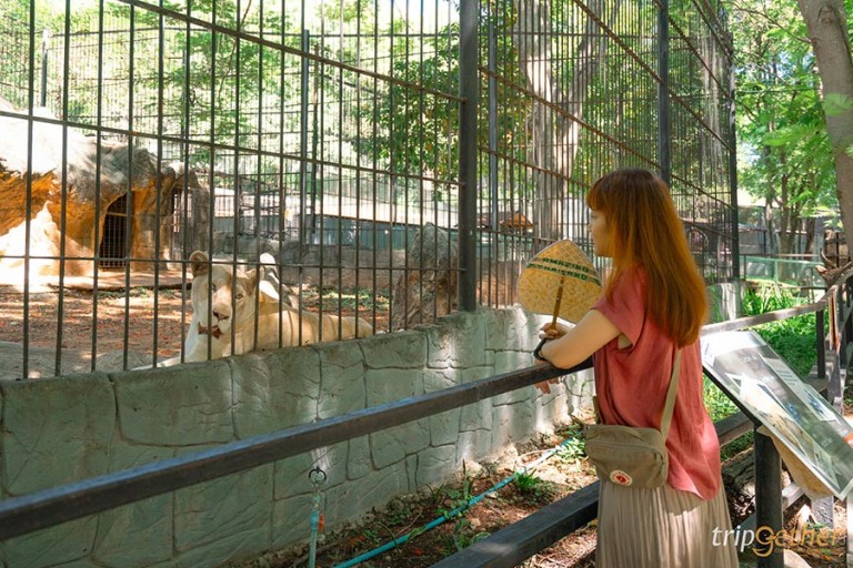Bonanza Exotic Zoo เขาใหญ่ เปิดโลกความน่ารักของสัตว์ตัวน้อย