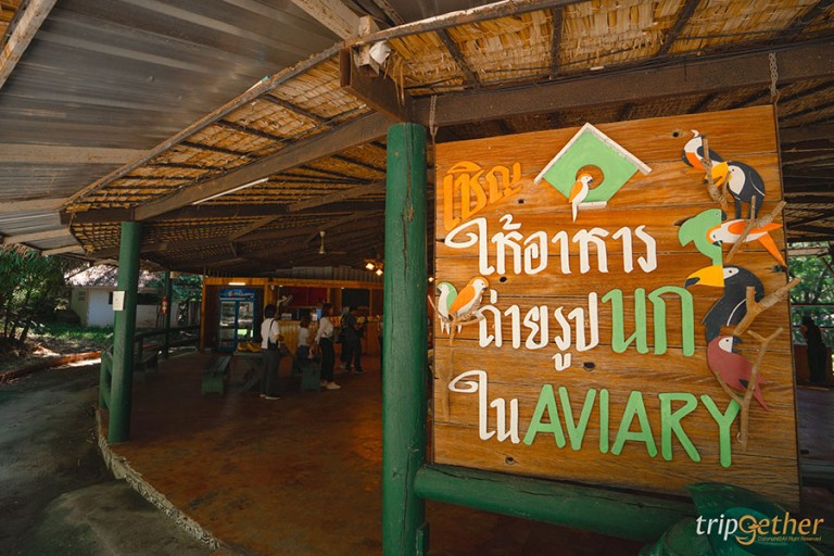Bonanza Exotic Zoo เขาใหญ่ เปิดโลกความน่ารักของสัตว์ตัวน้อย
