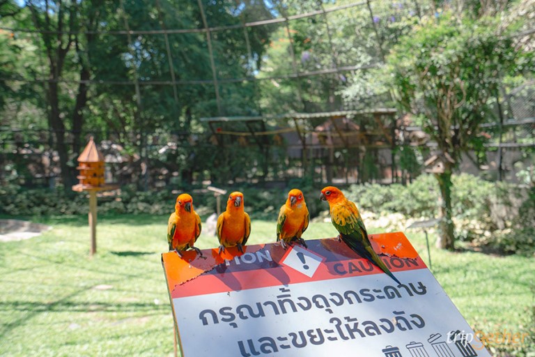 Bonanza Exotic Zoo เขาใหญ่ เปิดโลกความน่ารักของสัตว์ตัวน้อย