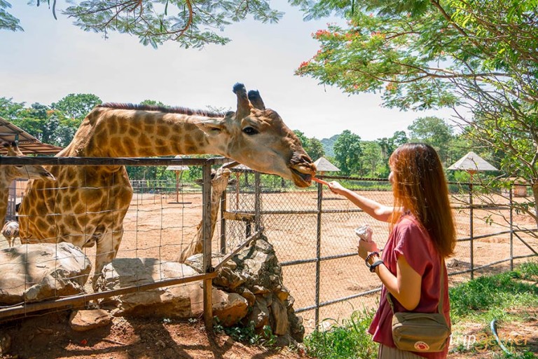 Bonanza Exotic Zoo เขาใหญ่ เปิดโลกความน่ารักของสัตว์ตัวน้อย