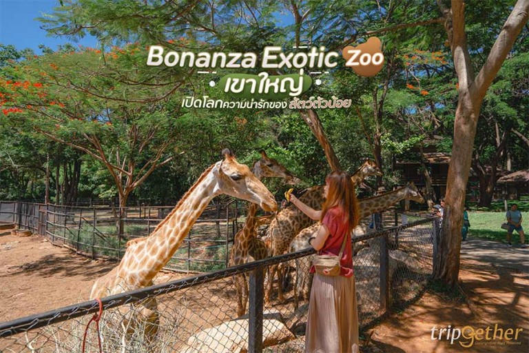 Bonanza Exotic Zoo เขาใหญ่ เปิดโลกความน่ารักของสัตว์ตัวน้อย