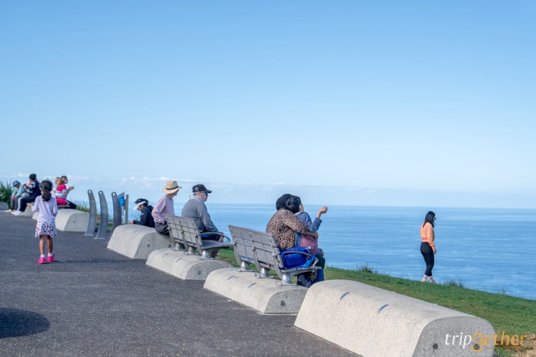 Bald Hill Lookout ออสเตรเลีย จุดชมวิวสวยฉ่ำ ฝ่าโค้งเพื่อมาเจอสิ่งนี้!