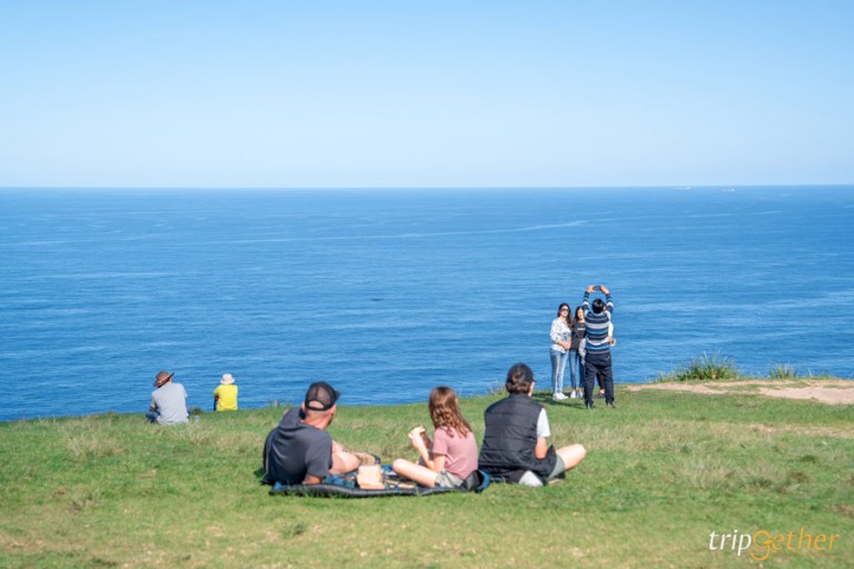 Bald Hill Lookout ออสเตรเลีย จุดชมวิวสวยฉ่ำ ฝ่าโค้งเพื่อมาเจอสิ่งนี้!