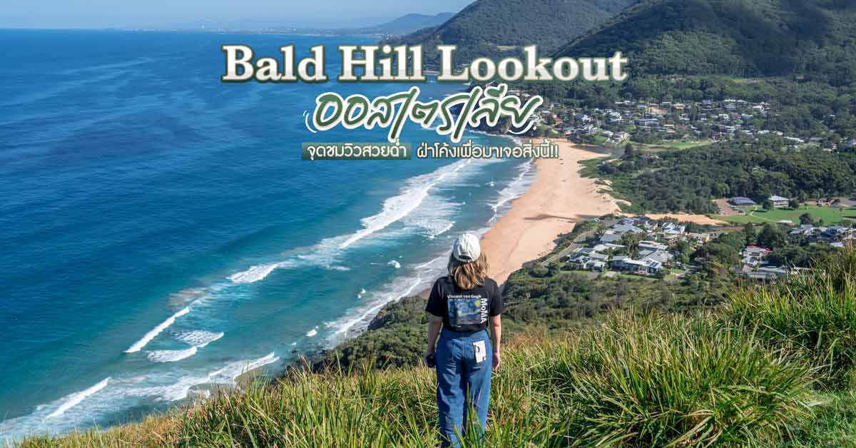 Bald Hill Lookout ออสเตรเลีย จุดชมวิวสวยฉ่ำ ฝ่าโค้งเพื่อมาเจอสิ่งนี้!