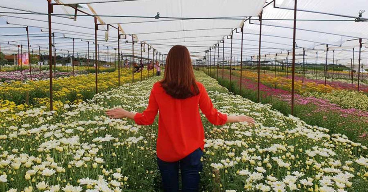 9 จุดเช็คอินมวกเหล็กบรรยากาศกรีนๆ น่าพาครอบครัวมาพักผ่อนสบายๆ ในวันสุด ...